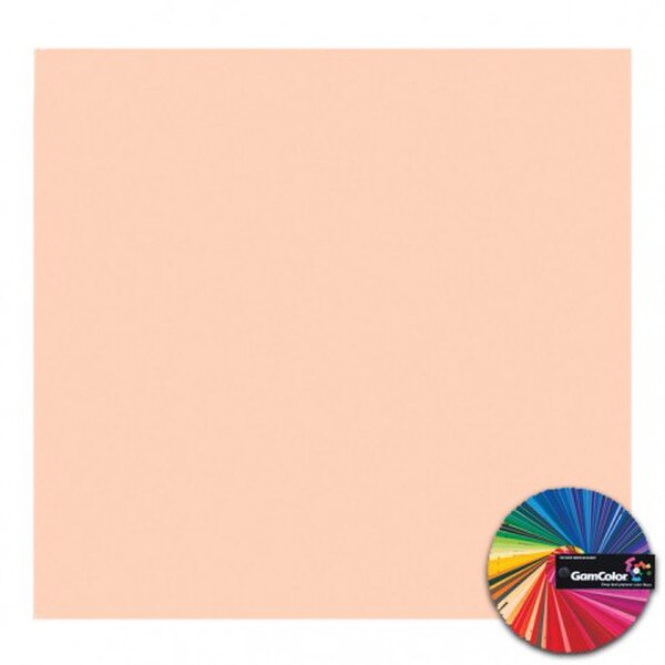 Rosco GamColor NCR6 Rosey Accent Gel - 20 x 24" Gel Sheet (Rosco GamColor Sheet NCR6)